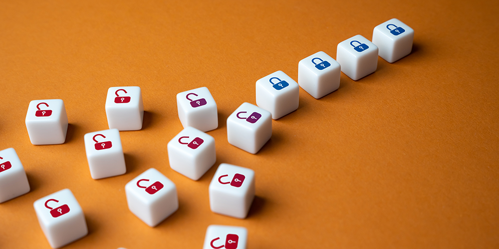 10 steps an organisation can take to mitigate cybersecurity risks ...